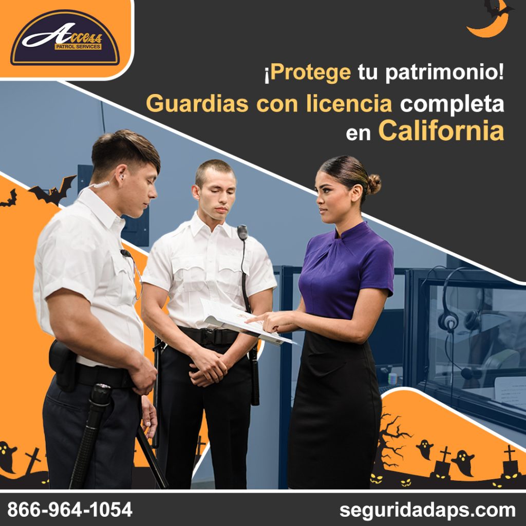 Access Patrol Services