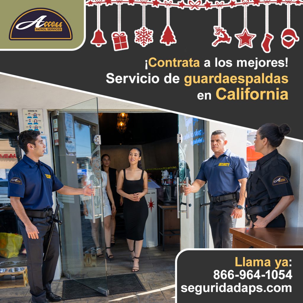 Access Patrol Services