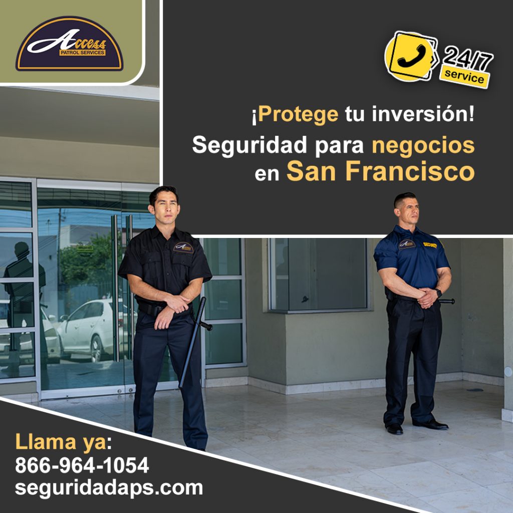 Access Patrol Services