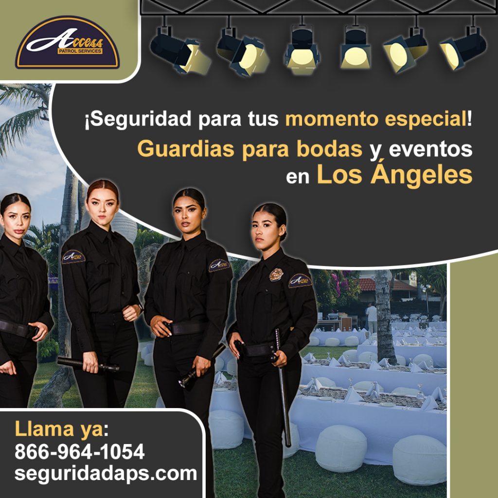 Access Patrol Services
